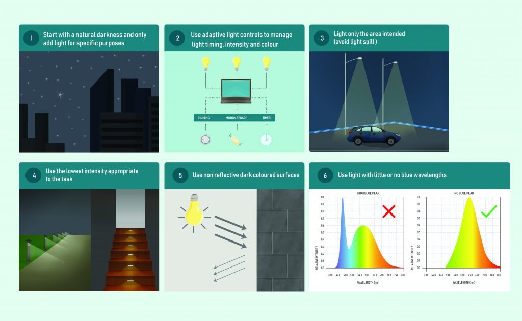 IOTN32-14-LIGHT POLLUTION GUIDELINES TO PROTECT MARINE TURTLES | IOTN