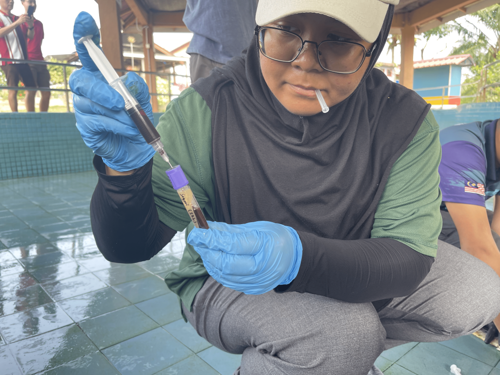 IOTN39-03-HEALTH ASSESSMENTS OF SEA TURTLES IN MALAYSIAN WATERS ...