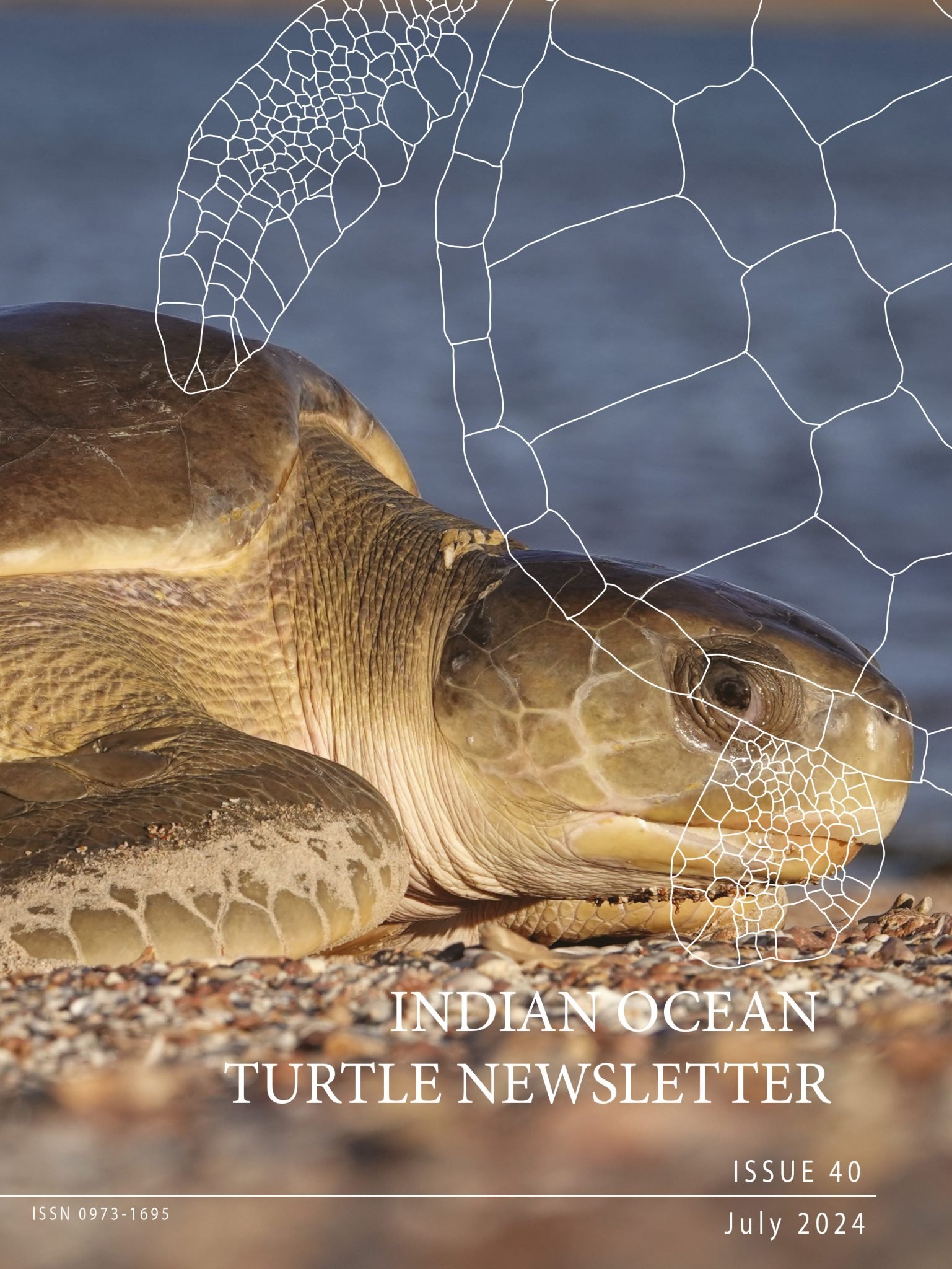 IOTN | Indian Ocean Turtle Newsletter